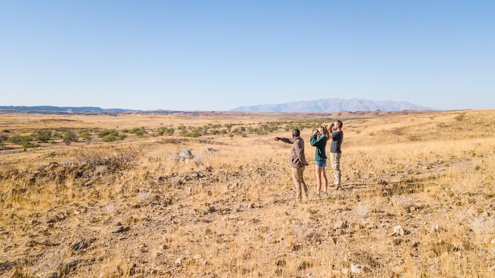 Approaching the elusive Black rhino on foot