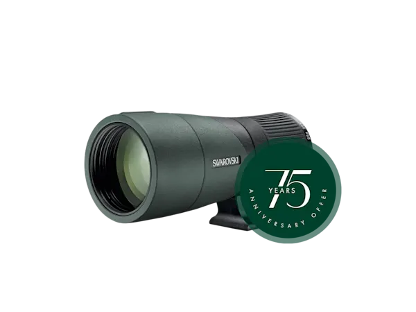 65mm objective module - SWAROVSKI OPTIK