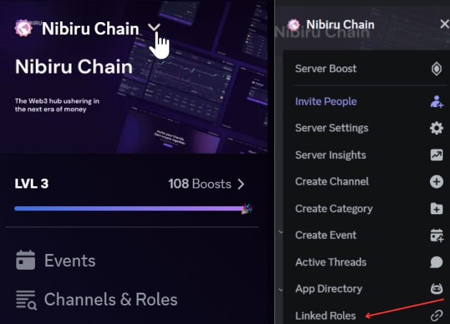 #42 | Claims and Verification Process for the Nibiru Airdrops and Community Sale