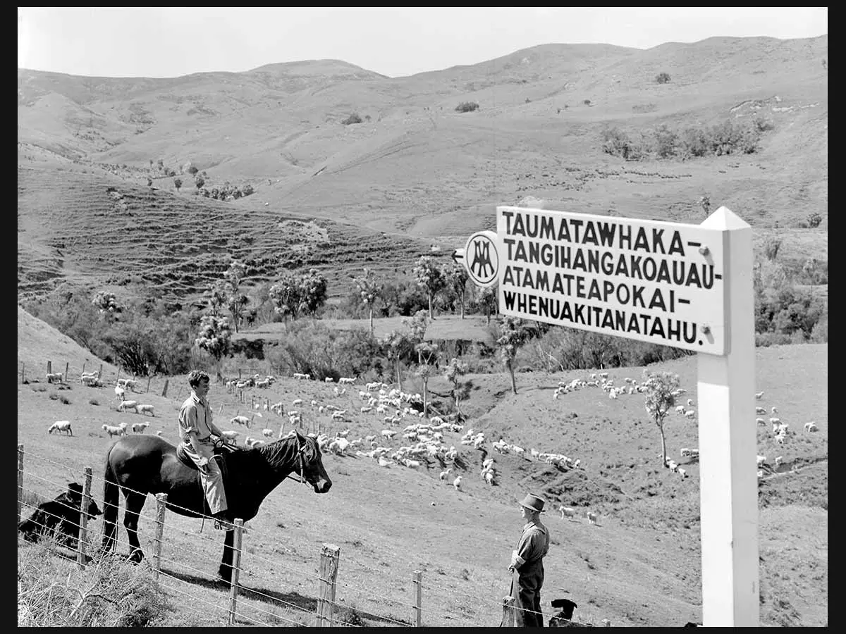 Stories about places in Aotearoa New Zealand | Services to Schools