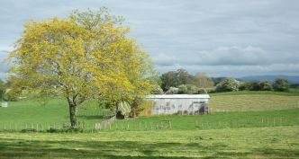 Defending Ōrākau | National Library of New Zealand