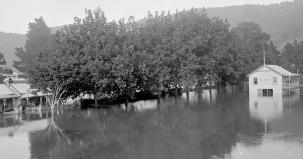 Disaster recovery | National Library of New Zealand