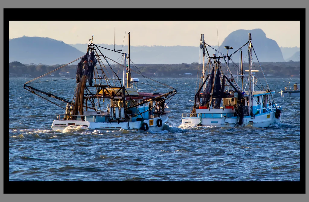 What happens if we overfish the oceans? by Angela Royston | National ...