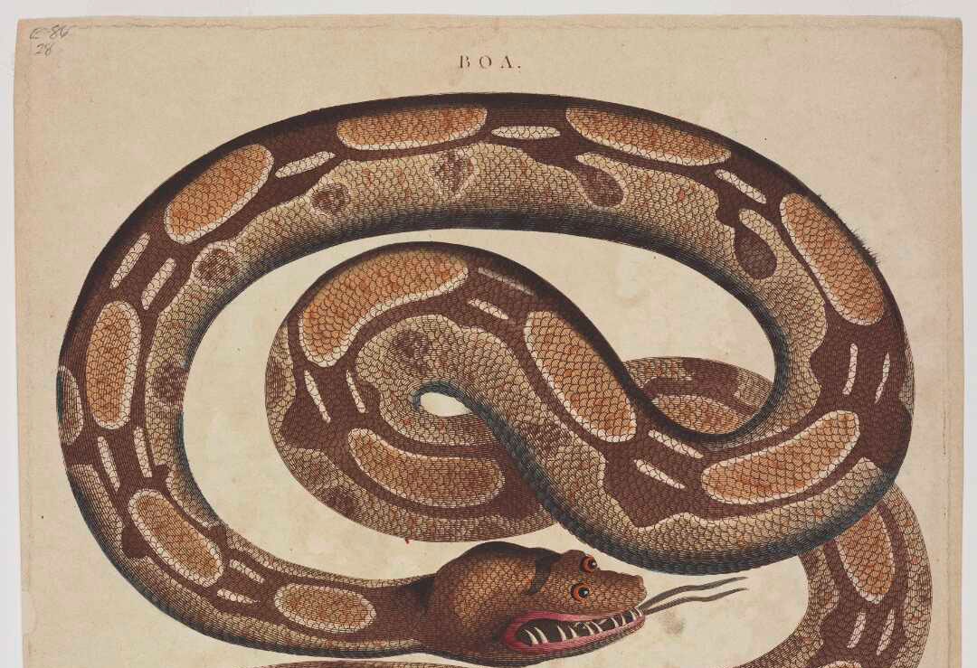 Sublime nature | National Library of New Zealand