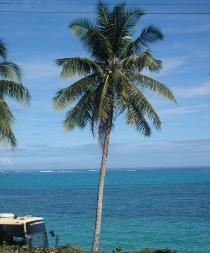 Samoan Language Week - 2015 | National Library of New Zealand