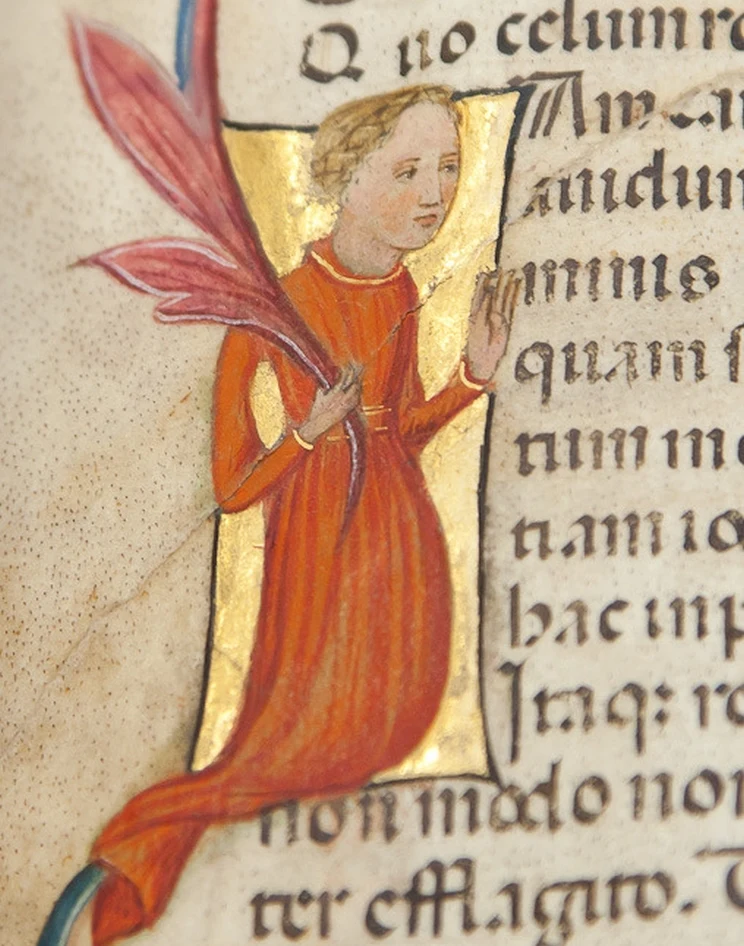 Parchment, paper and pixels: Medieval and Renaissance manuscripts in ...