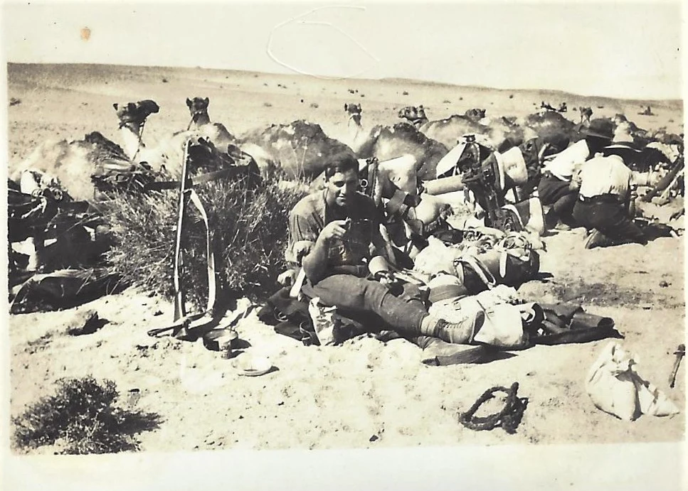 Anzac working animals