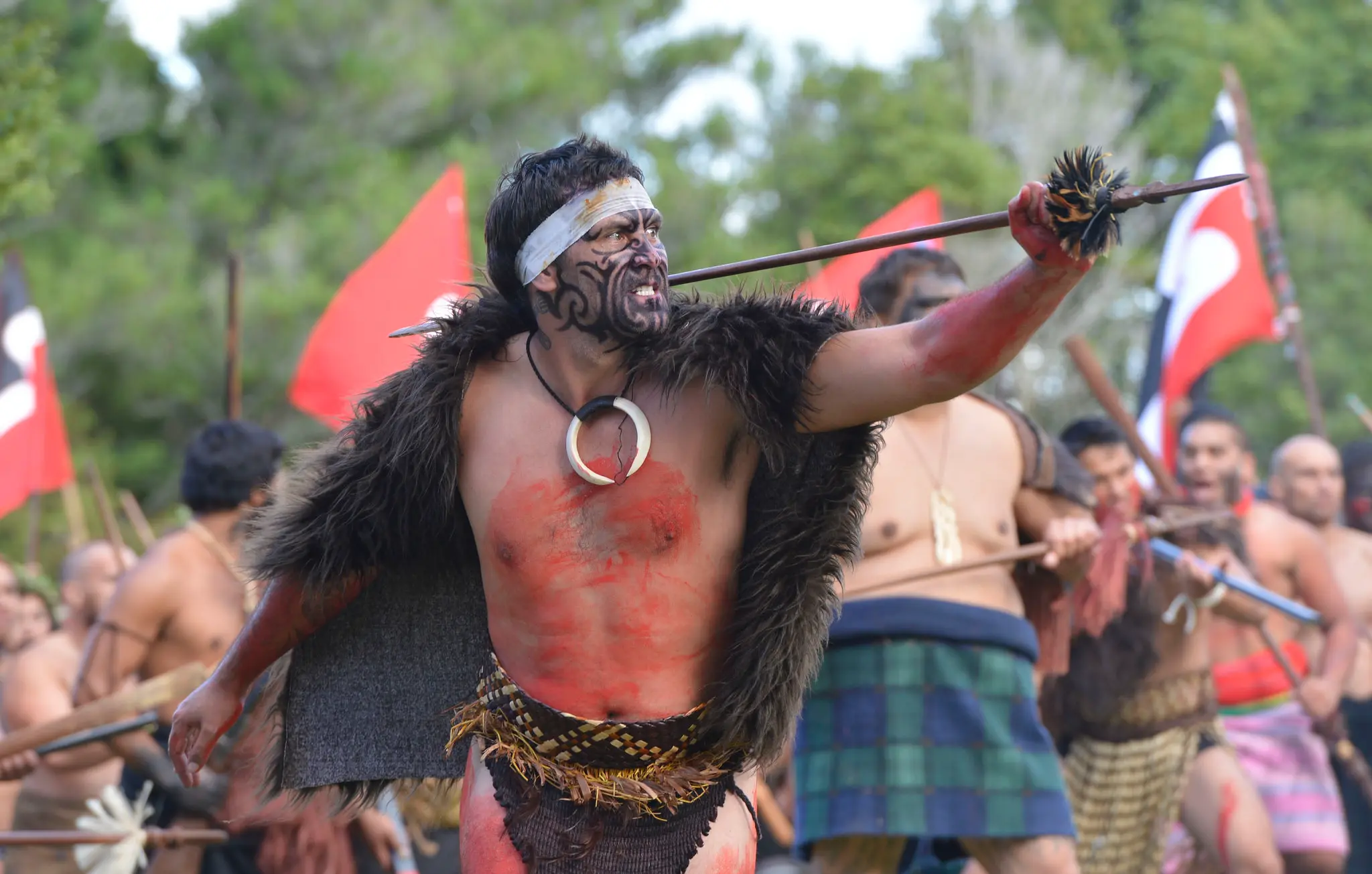 Taratoa and the code of conduct: A story from the battle of Gate Pa by ...