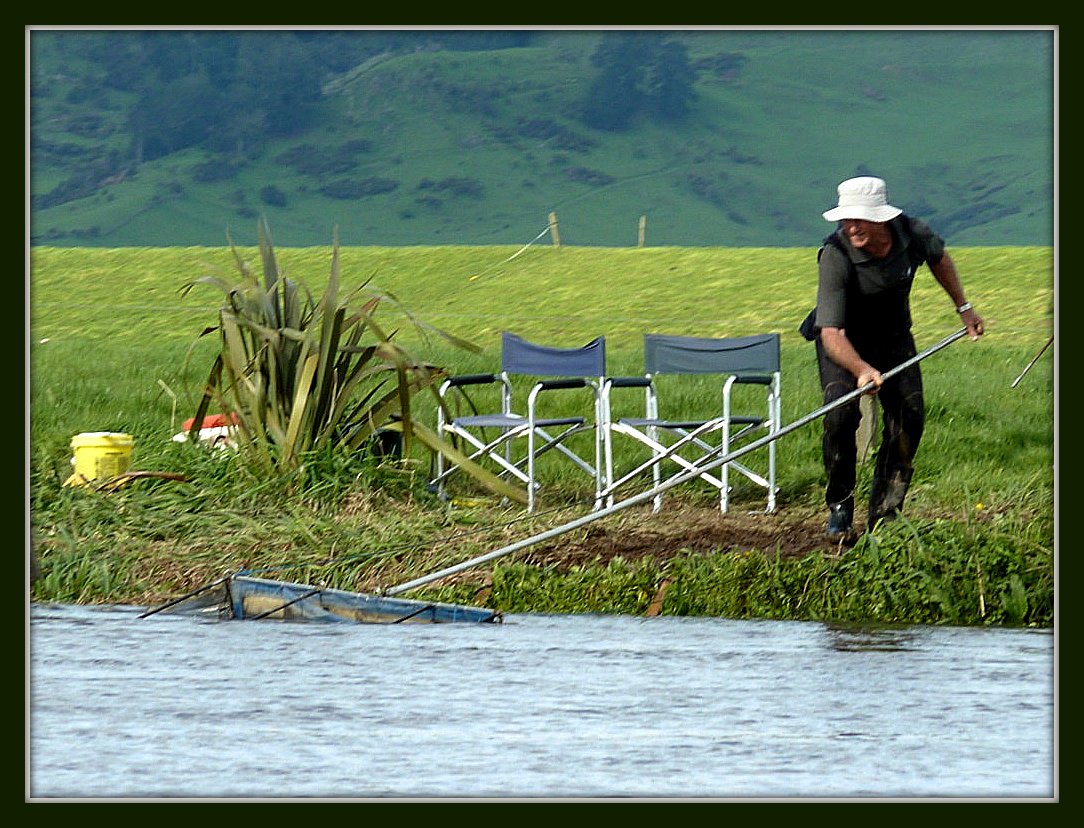 What's that living in my stream? Whitebait by Amber McEwan | National ...