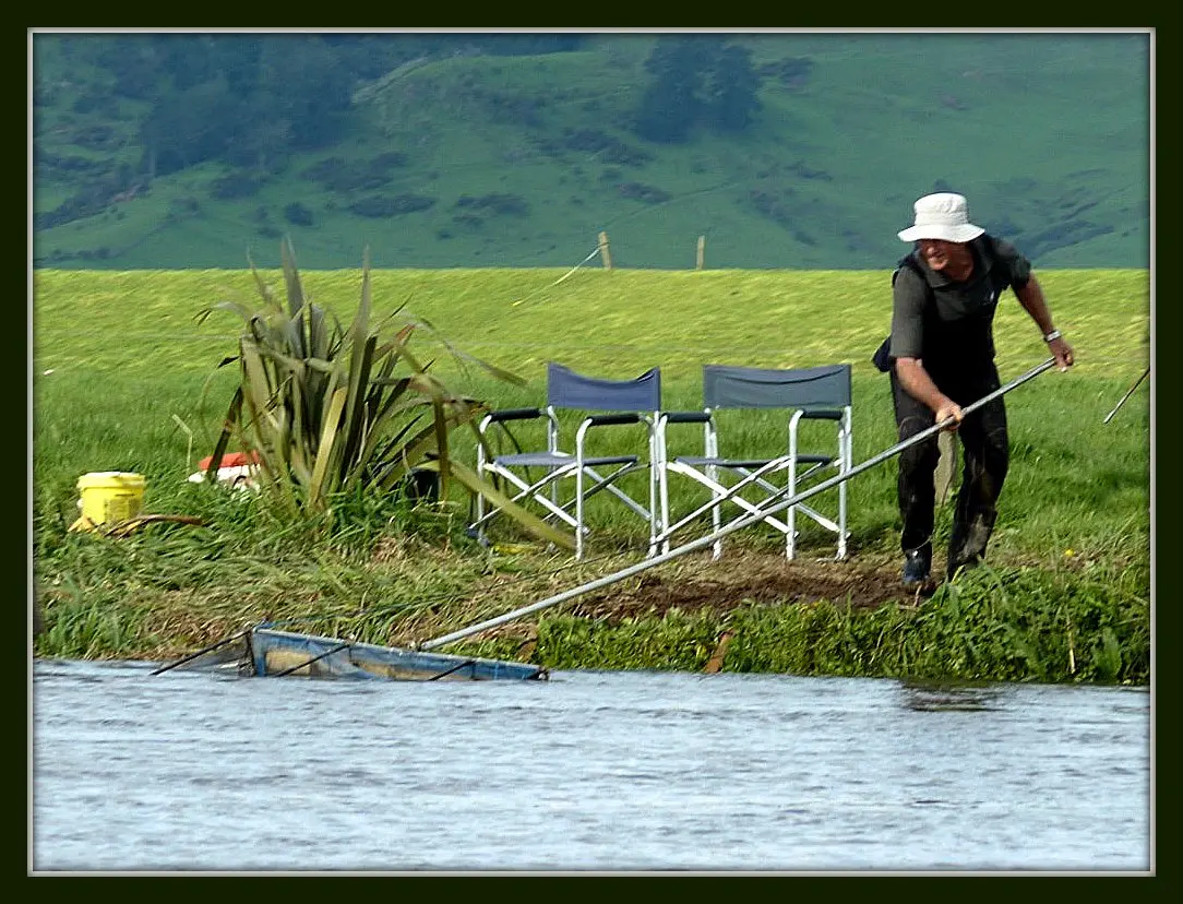 What's that living in my stream? Whitebait by Amber McEwan | National ...