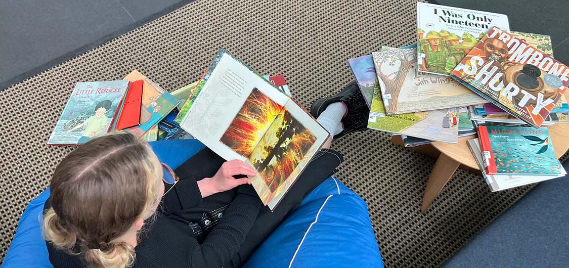 Sophisticated picture books | Services to Schools