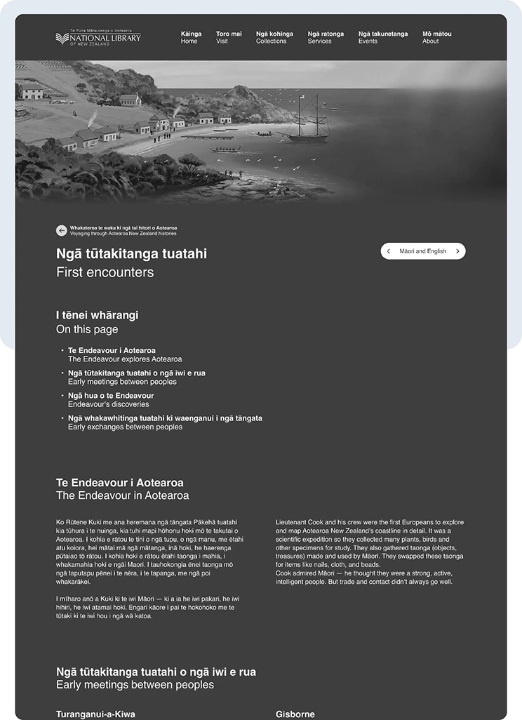 High-level summary report — Use of te reo Māori online | National ...