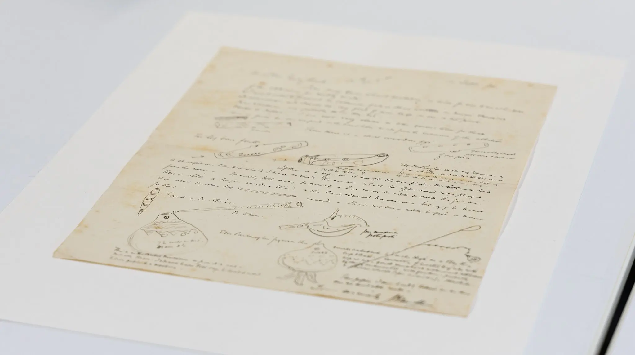 Highlights of 2023 from the Turnbull Library’s Arrangement ...
