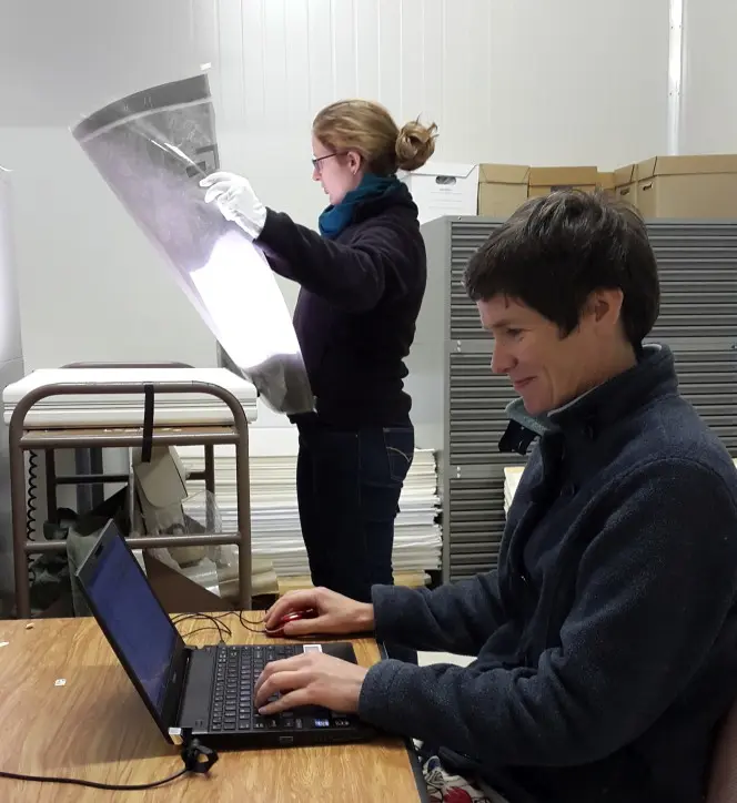 Fresh favourites from ’fourteen | National Library of New Zealand