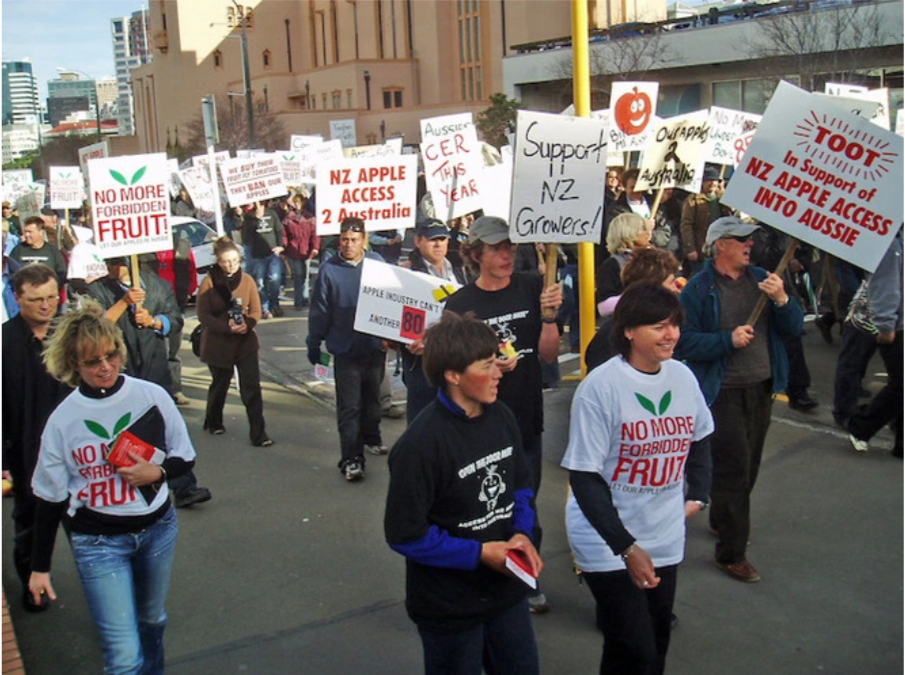 The mayfly | Protest ephemera | National Library of New Zealand