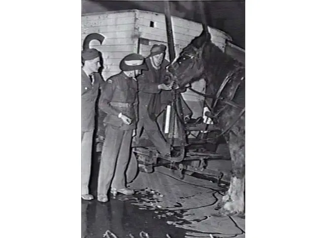 Exploding cows, baby killers and death rays | National Library of New ...