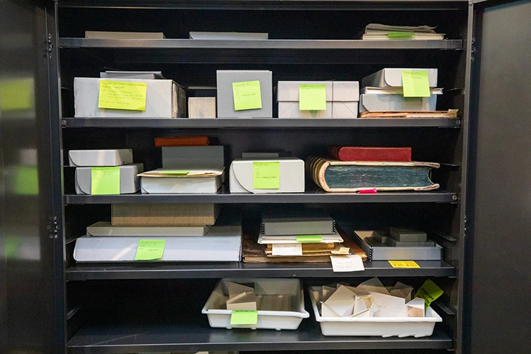 Little curators at home | National Library of New Zealand