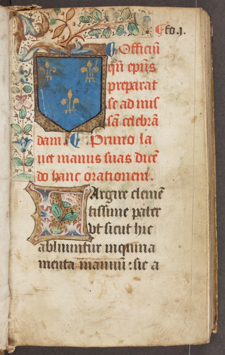 Parchment, paper and pixels: Medieval and Renaissance manuscripts in ...