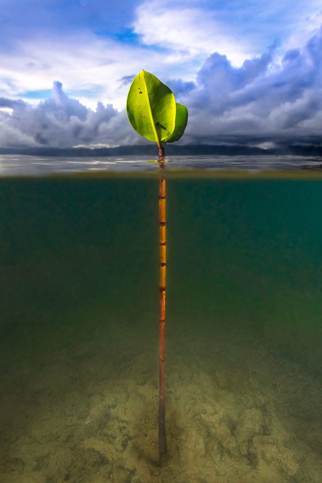 Dan Shipp, Fiji | National Library of New Zealand