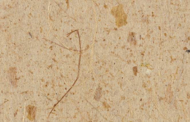 Greater than the sum of its parts | National Library of New Zealand