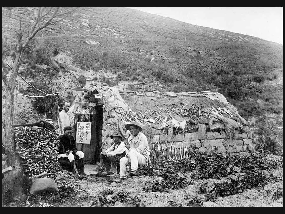 Living and working in Aotearoa New Zealand | Services to Schools