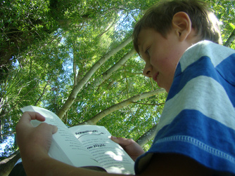 Introducing our new summer reading guide | National Library of New Zealand