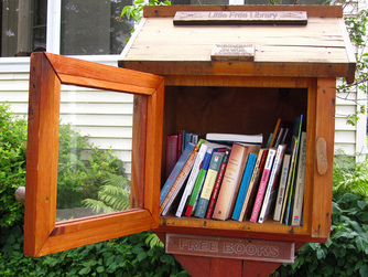 Little libraries – a simple, no-cost book exchange idea | National ...