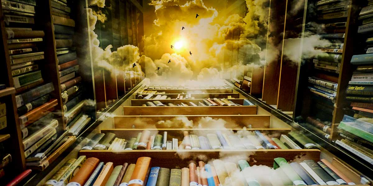 Harnessing the power of school libraries for learning and well-being ...