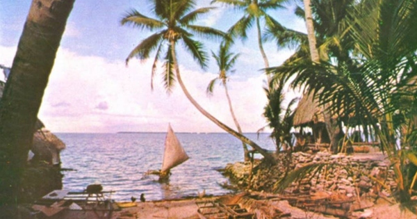 Celebrating Pacific Language Weeks 2022 | National Library of New Zealand