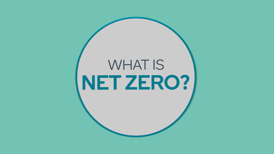 Small business hub: Sustainability tips and advice