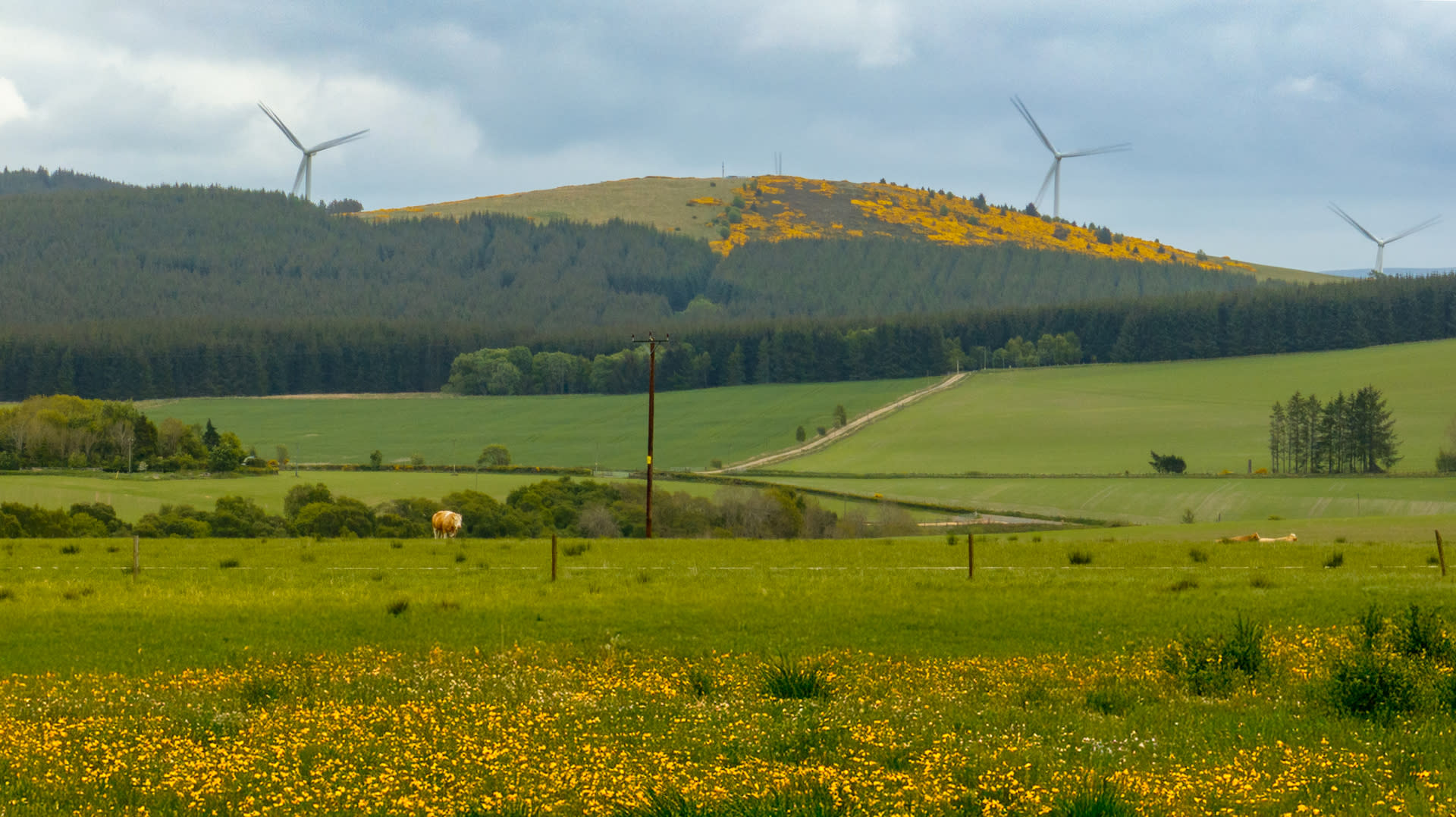 SSE renewable electricity | SSE Energy Solutions