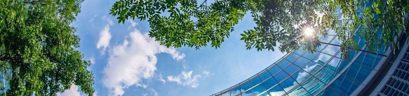 Smart meters | Business energy | SSE Energy Solutions