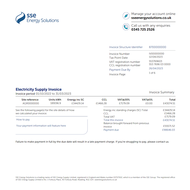 Understand Your SSE Invoice and Payment Options