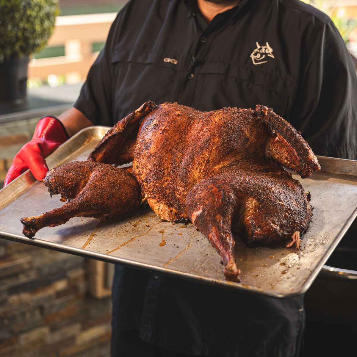 Ray's Turkey & Gravy | recteq