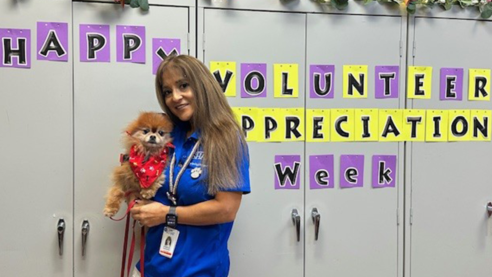 Pet Therapy Dogs Bring Comfort to Patients at Sharp | Sharp HealthCare