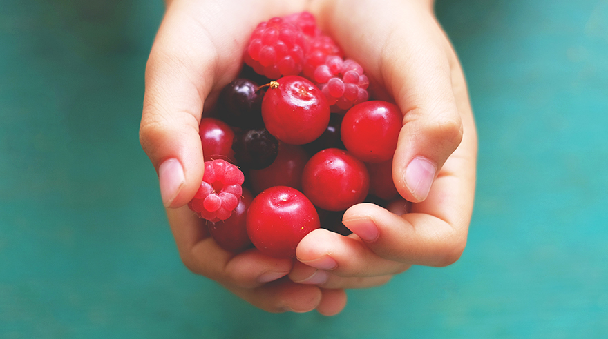 Foods That Boost Sun Protection | Sharp HealthCare