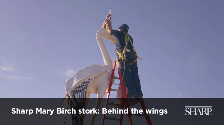 Painter Refurbishes Sharp Mary Birch Stork Statue | Sharp HealthCare