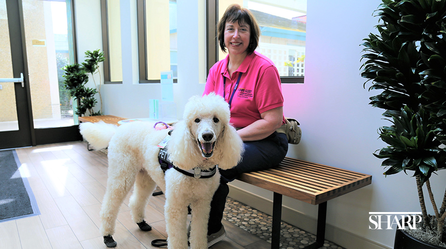Award-Winning Therapy Dog at Sharp Coronado | Sharp HealthCare