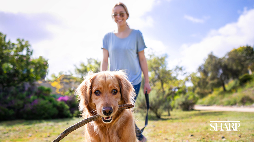 How Dogs Help People