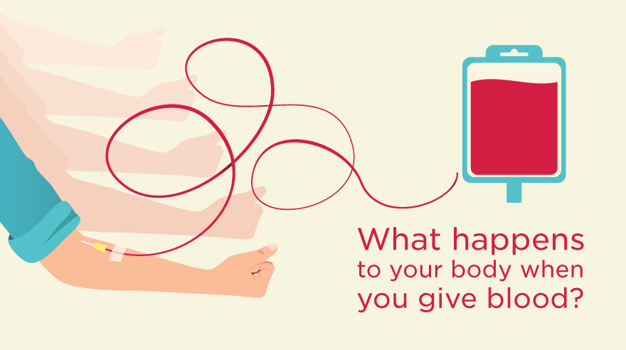 What Happens to Your Body When You Give Blood? | Sharp HealthCare