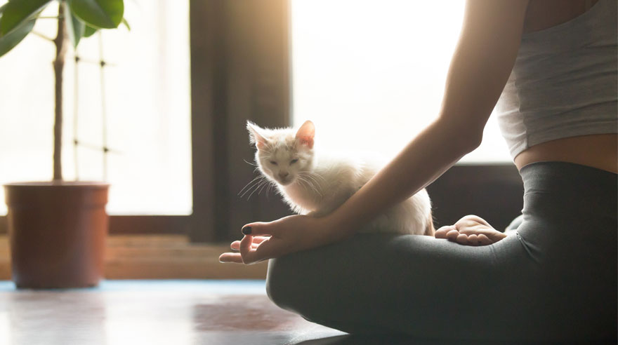 Managing Pain Without Opioids | Sharp HealthCare