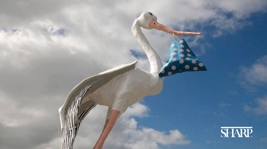 5 Things You Didn’t Know About the Sharp Mary Birch Stork | Sharp ...