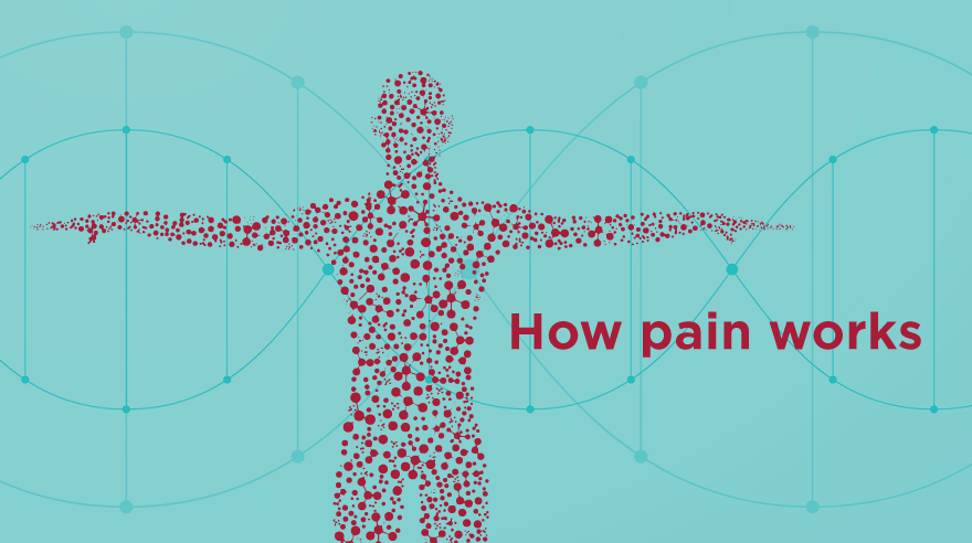 How Pain Works Infographic | Sharp HealthCare