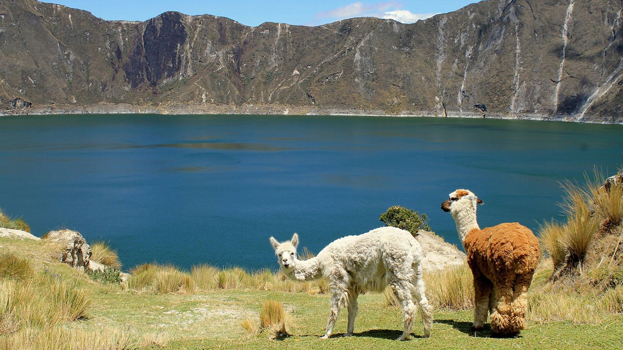 Quoi découvrir, voir et faire en Équateur - Blog voyage We are World ...