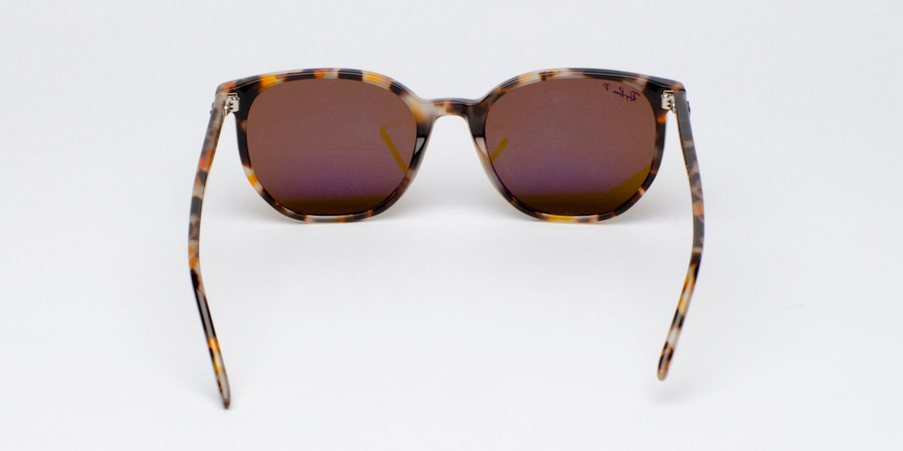 Tortoise Elliot Sunglasses | Nationwide Vision
