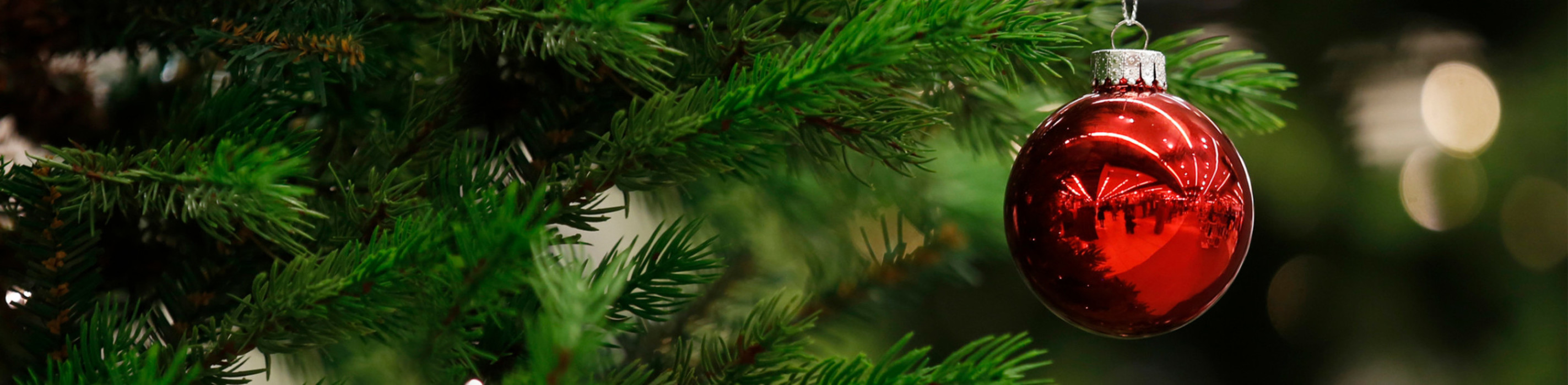 Ofertat për Vitin e Ri