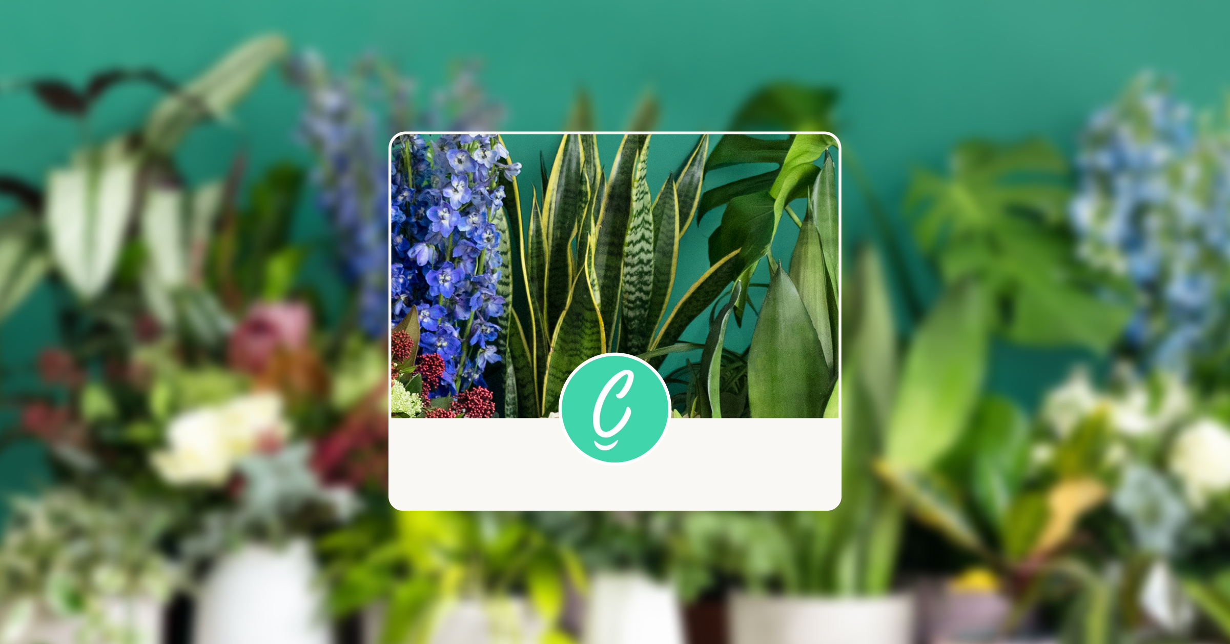 Colvin x N26: Get Up to 20% Off Your Next Flower Bouquet!