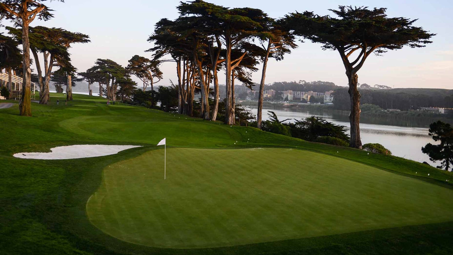 TPC Harding Park