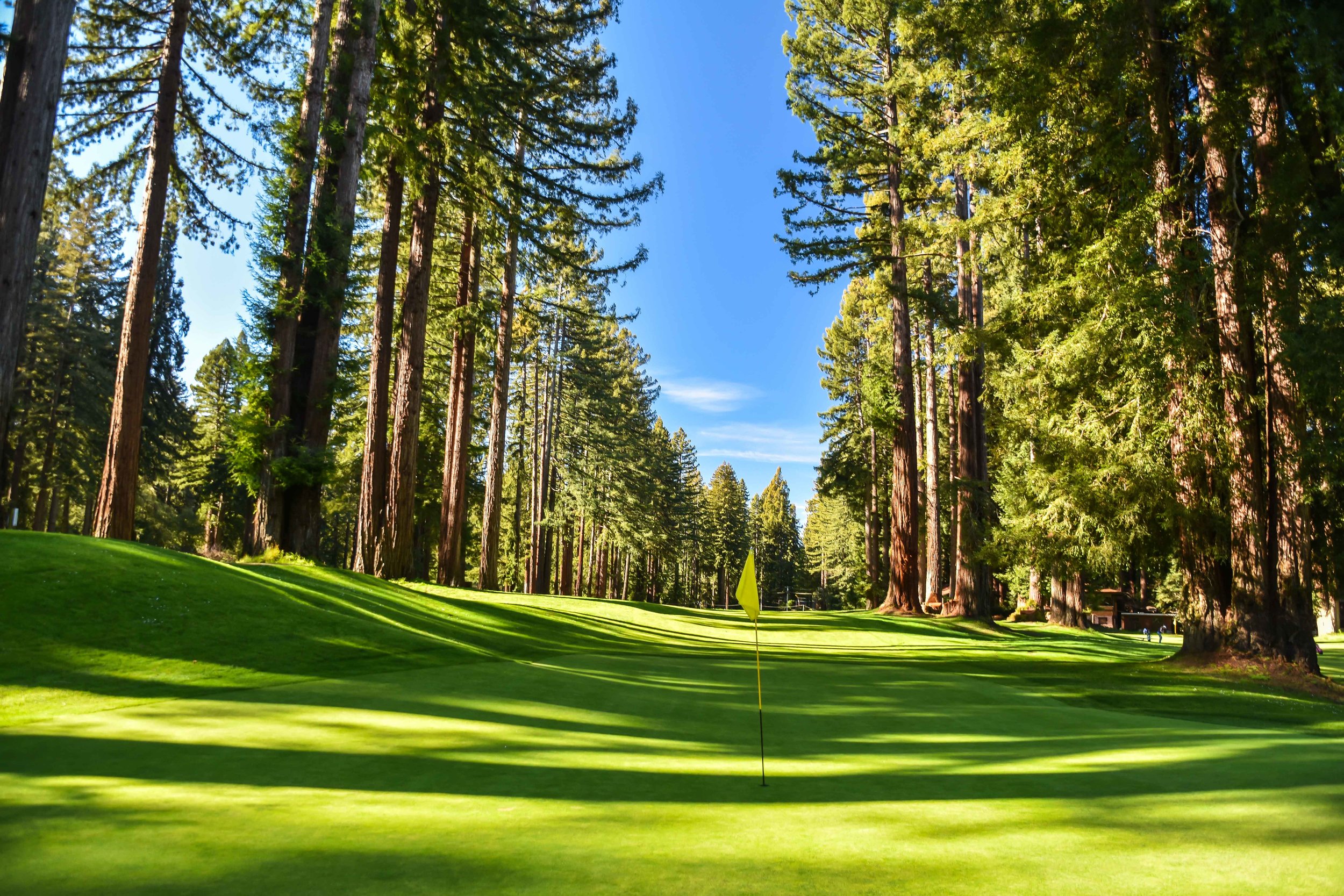 The Best Full 9 Hole Courses in the Bay Area