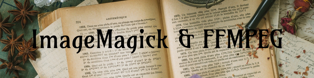 【Carrierwave + ImageMagick】translation missing: ja.errors.messages.mini_magick_processing_error